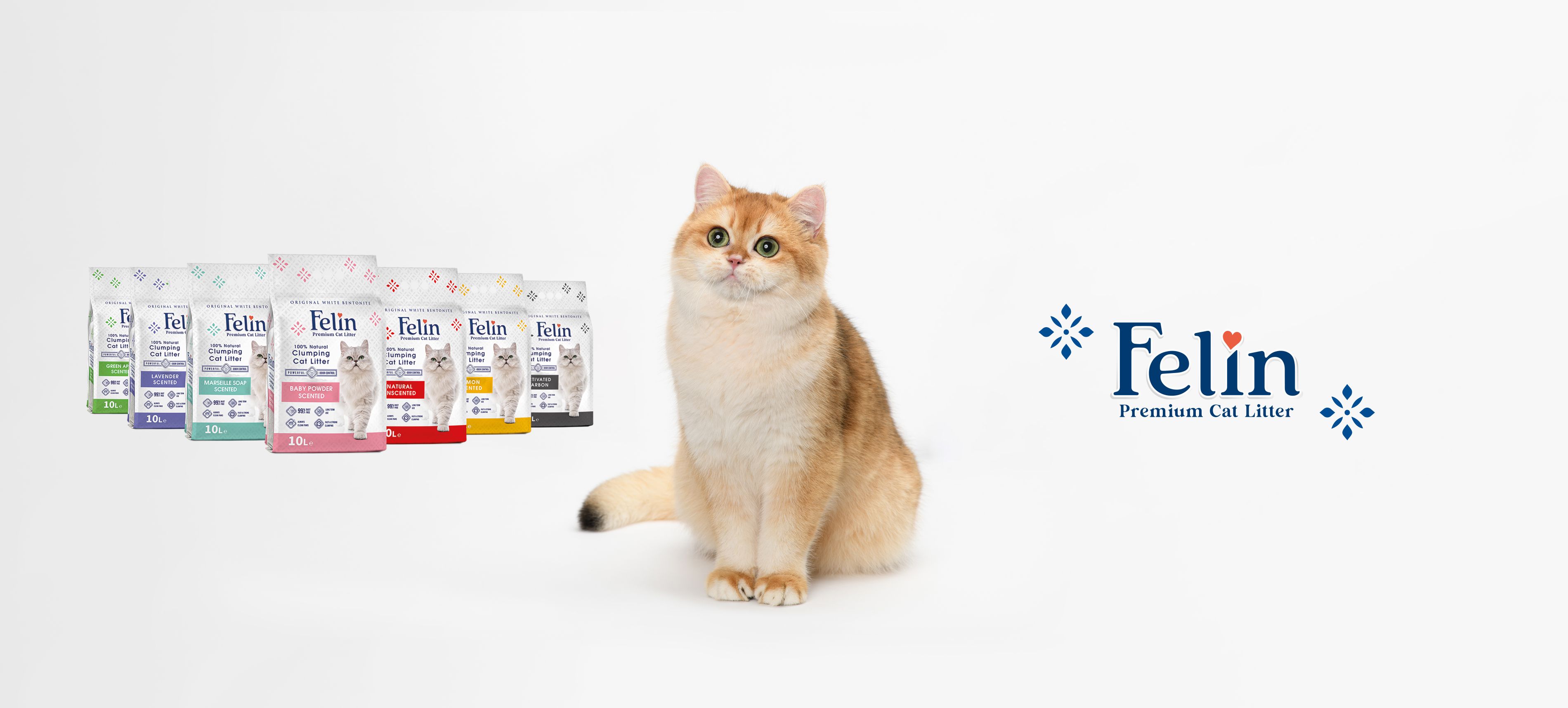 Felin - Hakkımızda